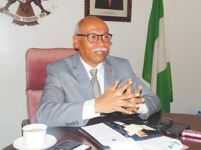 Indonesia ready to partner Nigeria in fight against terrorism - TheNiche