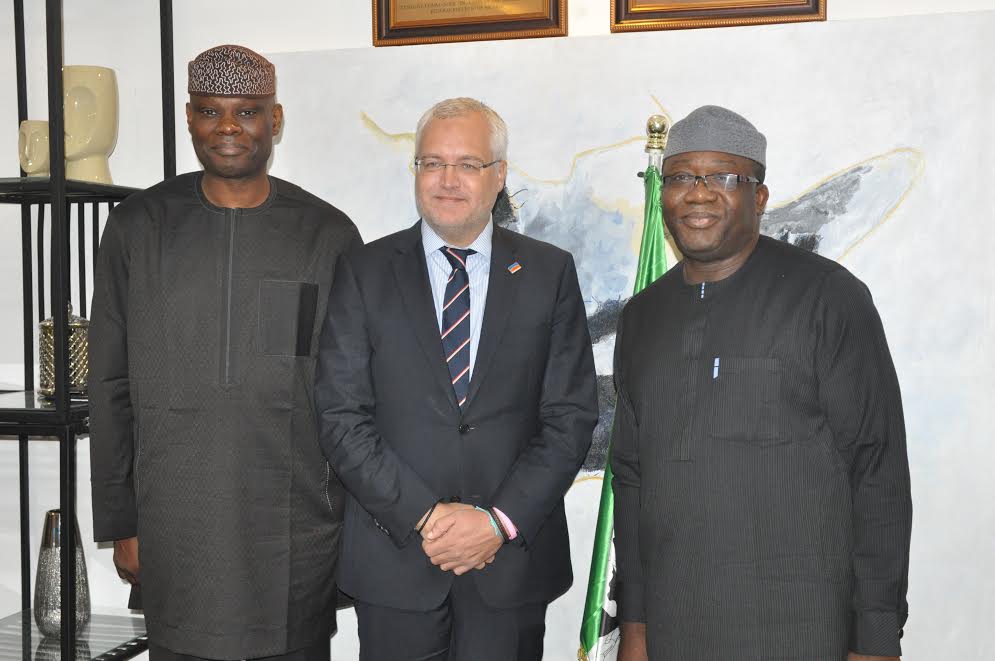 Fayemi, Promasidor seal deal on Ikun Dairy Farm - TheNiche